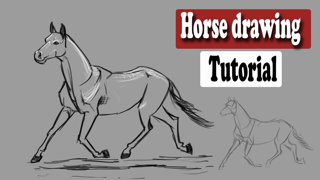 Horse Drawing tutorial step by step l Horse kaise draw kare l Simple ...