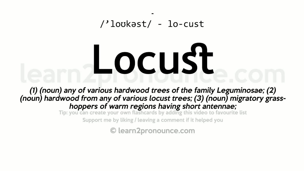 Pronunciation of Locust | Definition of Locust - YouTube