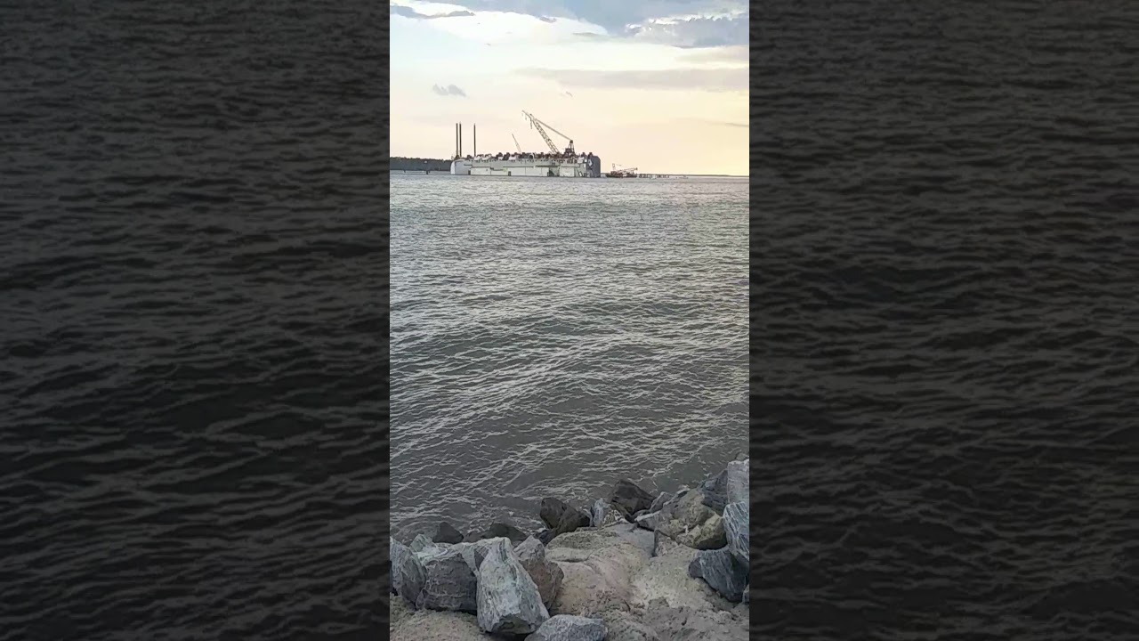 Golden Ray - YouTube