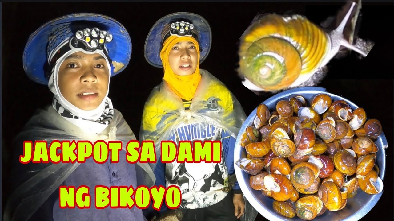 Sinuyod namin ang gubat paghuhunting ng BIKOYO na pakarami jackpot ...