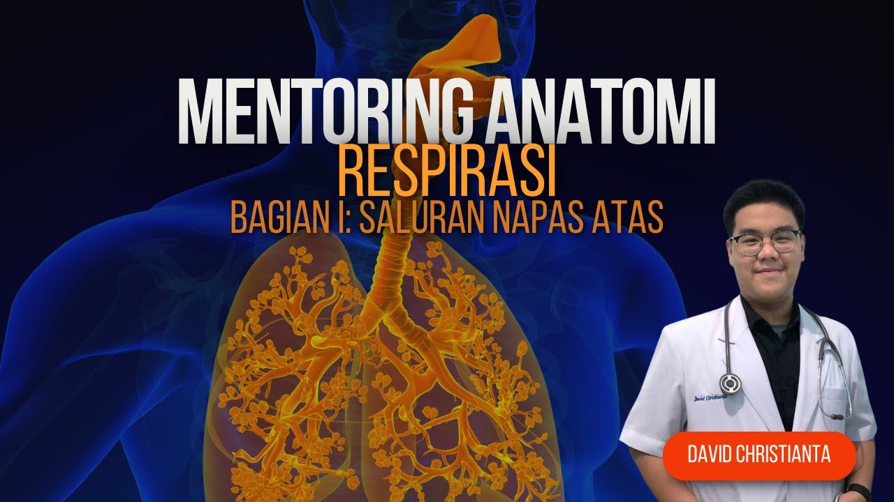 Mentoring Modul Respirasi: Anatomia Systema Respiratorium Superior ...