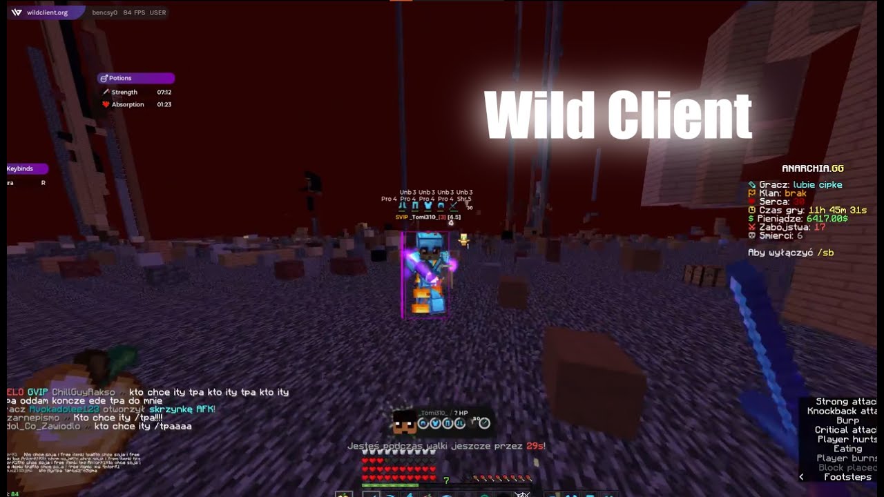 Wild Client Na Anarchia.gg 😨 │ Discord W Opisie ⚙️│Dominacja Anarchia.gg ⚔️│Wild Client💙 - YouTube