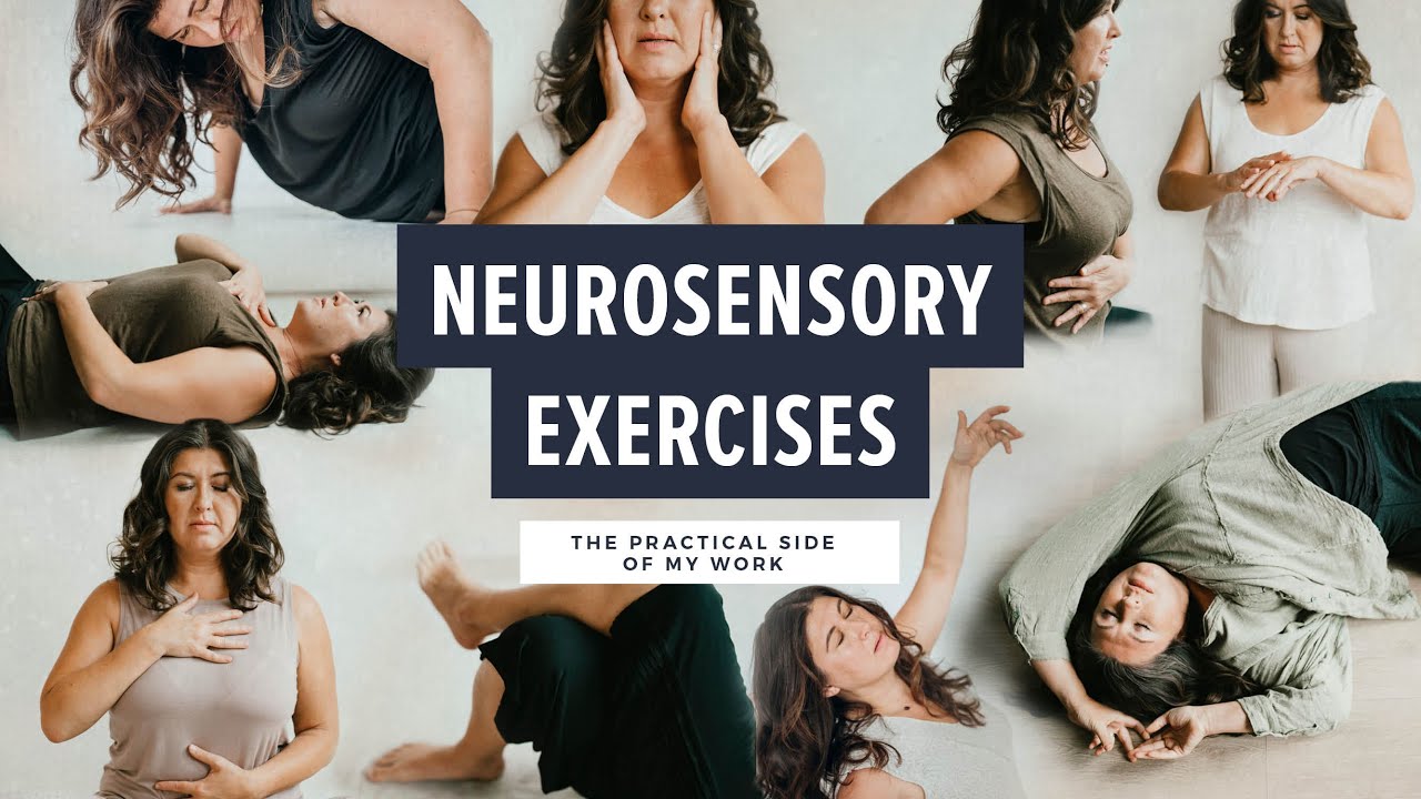 The practical side of my work: NEUROSENSORY EXERCISES (popular re ...