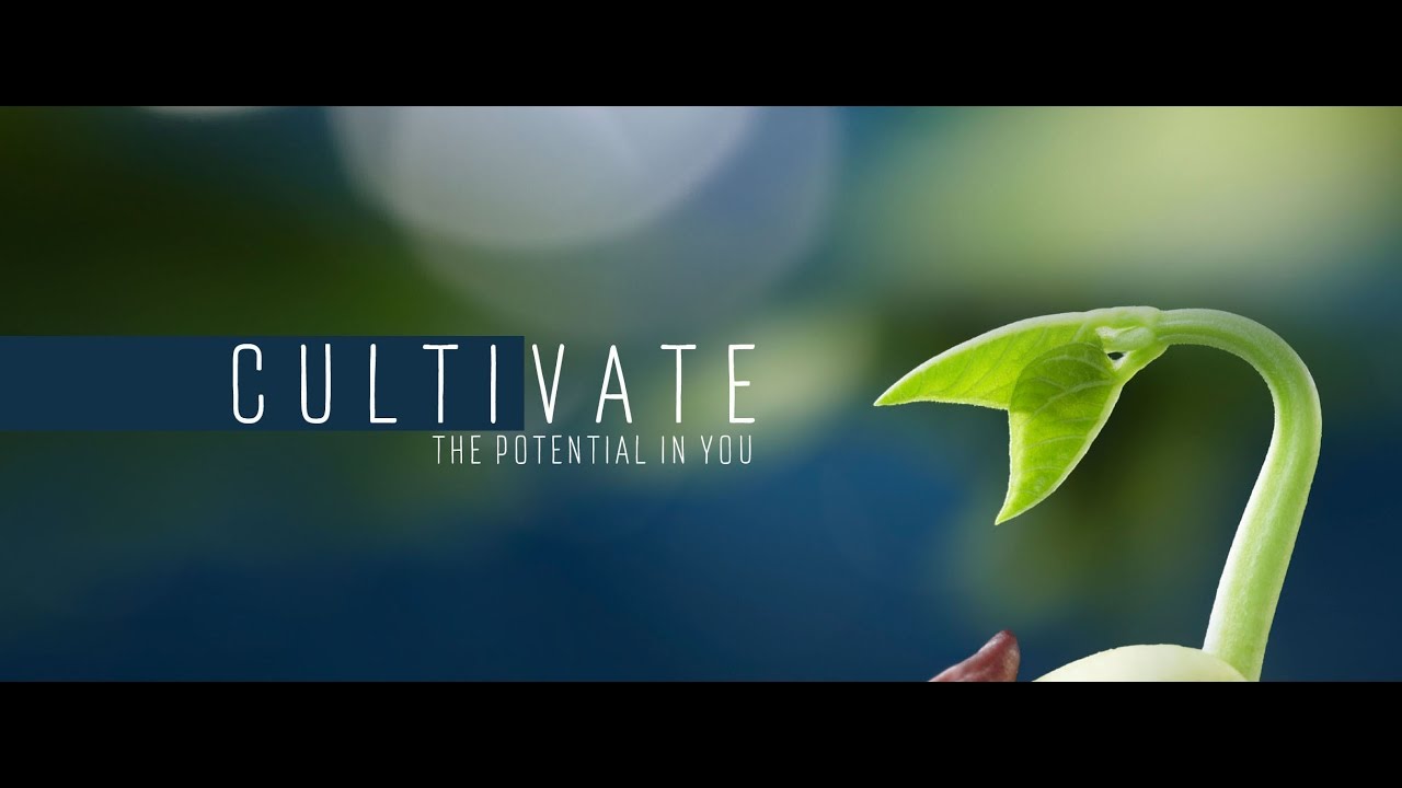 Cultivate - The Potential Of The Seed - YouTube