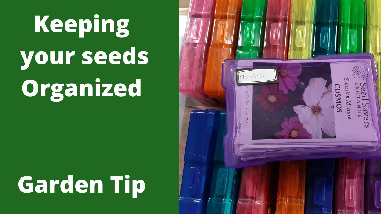 An easy way to organize your seeds - Garden Tip - YouTube