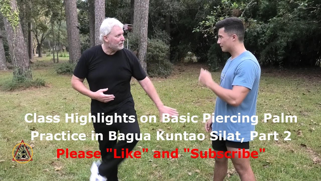Kuntao Silat
