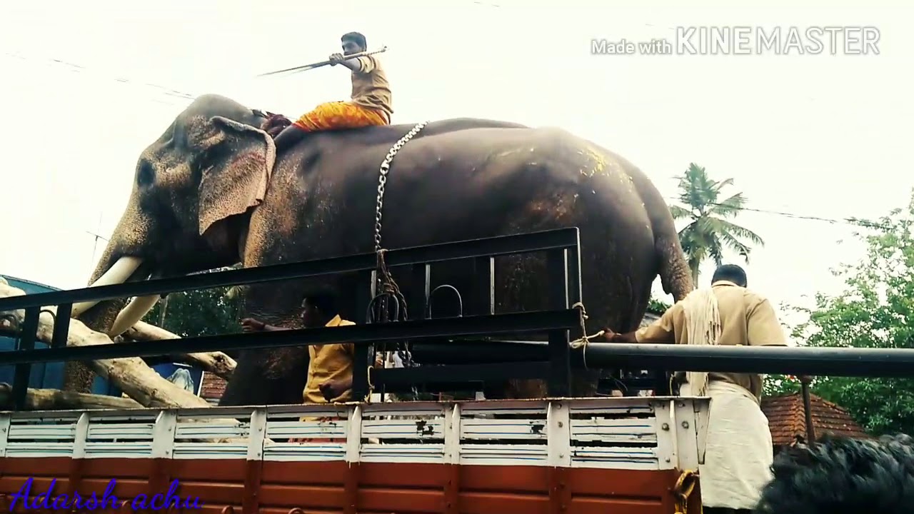 Raman latest video 2018 kunnamthanam madathilakavil ammayda manilak ...