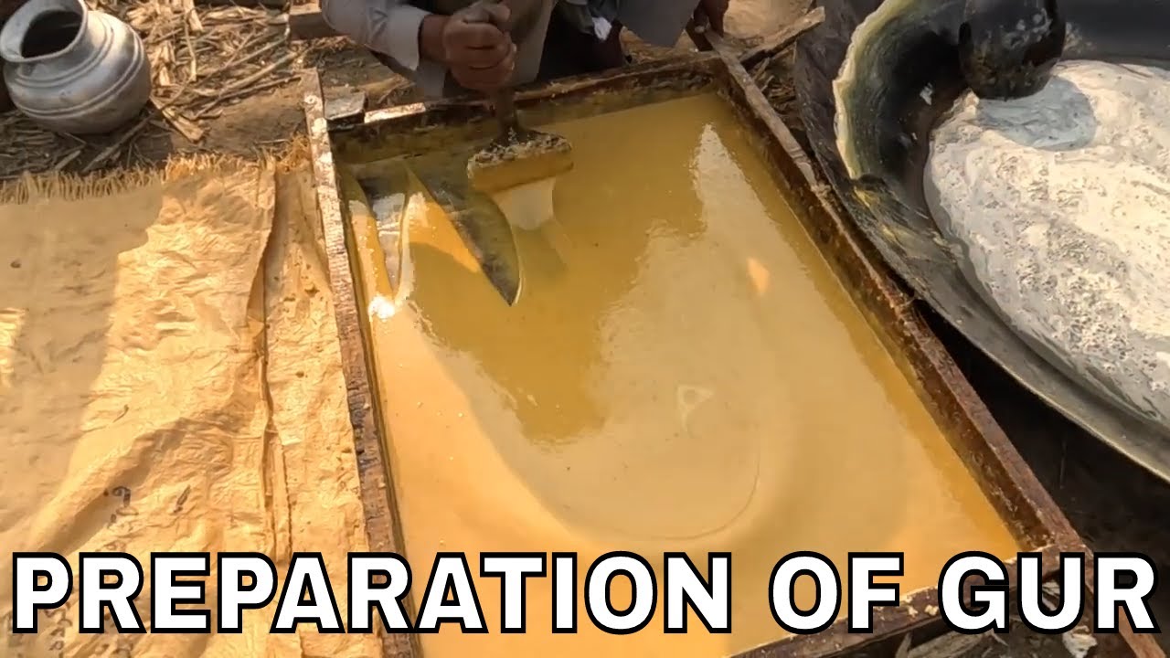 How People In Villages Prepare Gur (Jaggery) || Preparation Of Gur In ...
