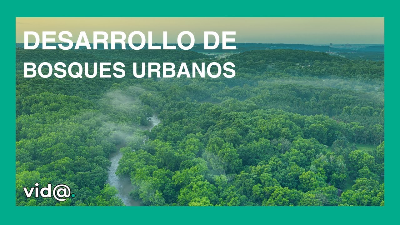 Desarrollo de Bosques Urbanos: Transformando Ciudades en Pulmones ...