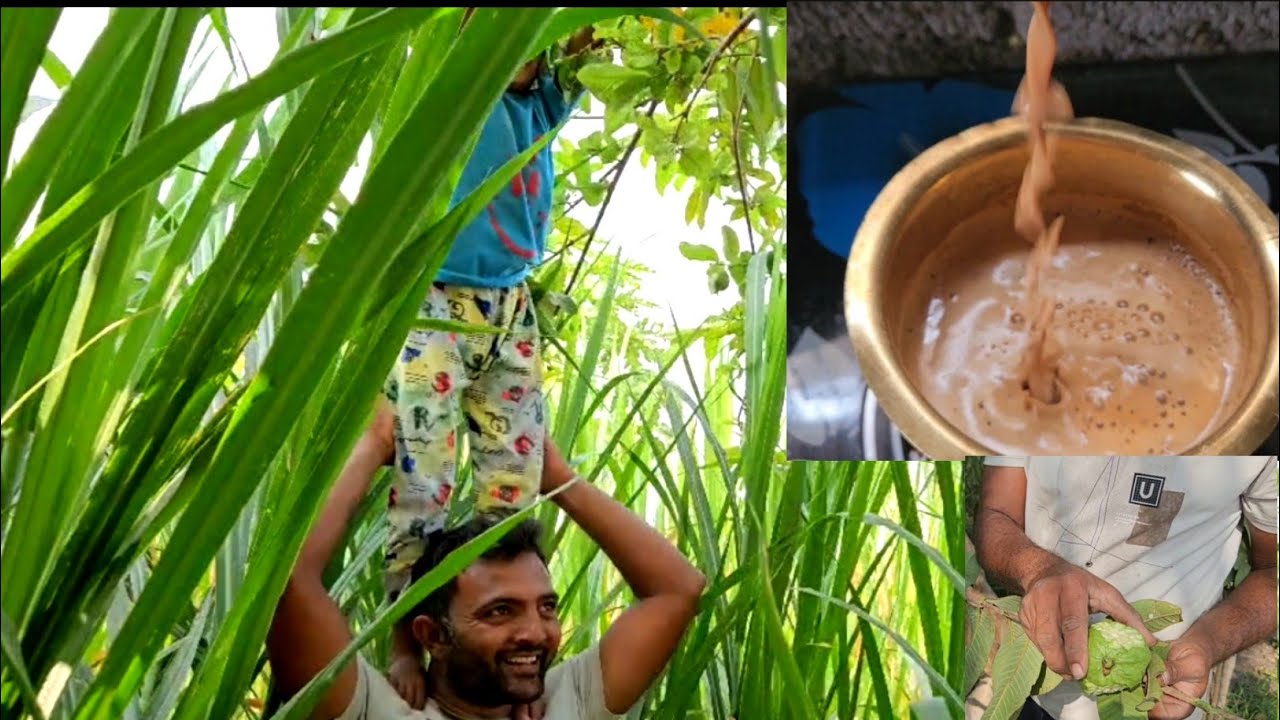 huda na Khadhela jamrukh || #village lifedakahaahirvlogs - YouTube