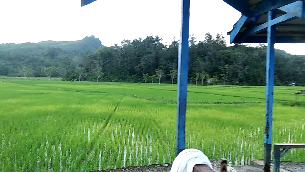 KEINDAHAN SUNSET DESA - YouTube