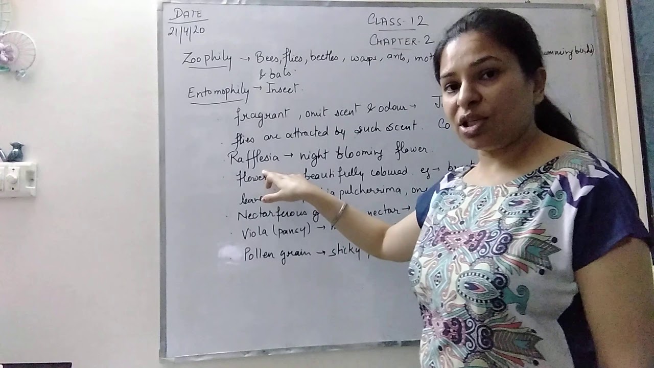 Class 12 Biology Ch 2 15 Zoophily & Entomophily - YouTube