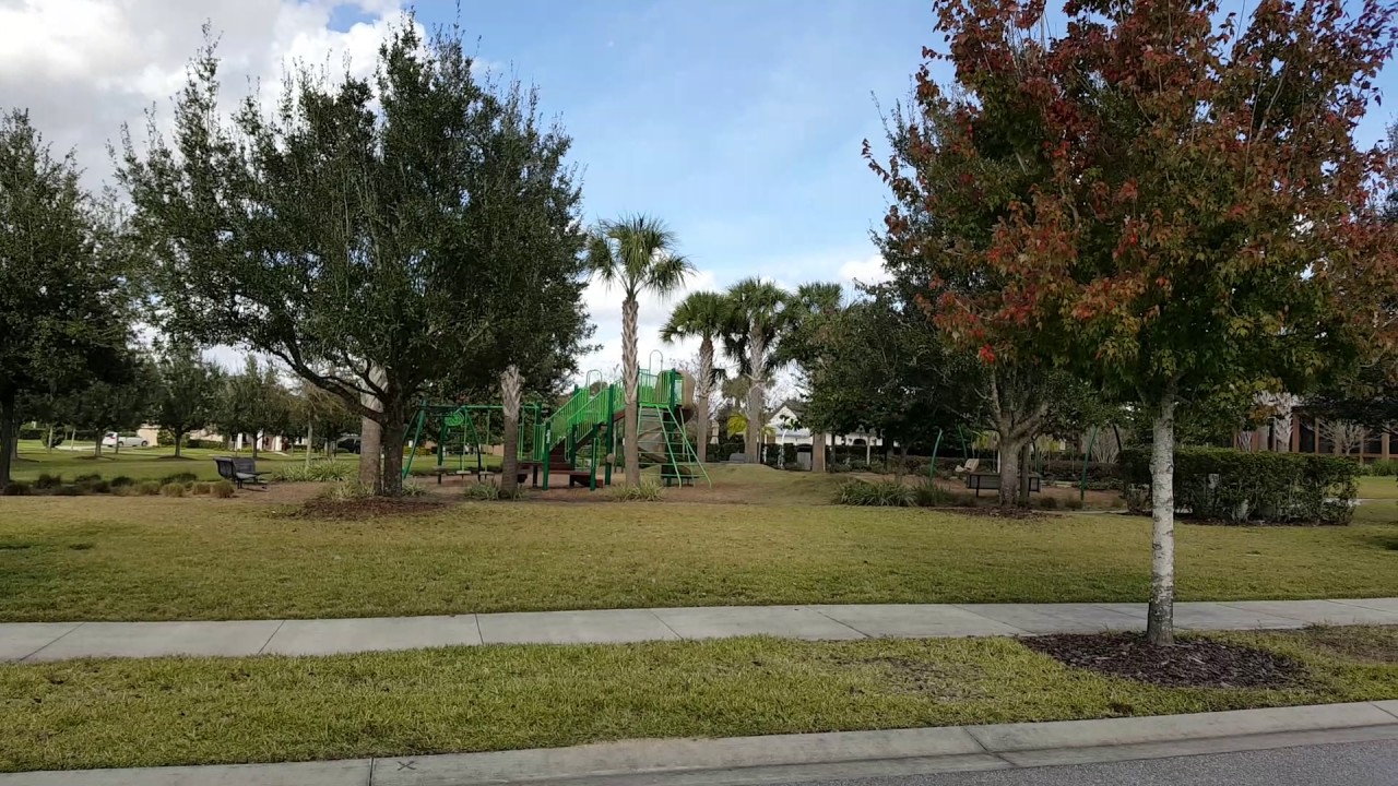 Fishhawk park - YouTube