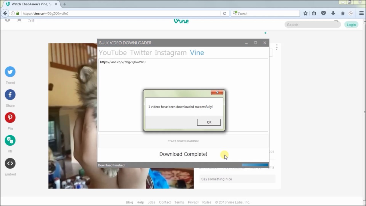 Bulk Video Downloader Demonstration - YouTube