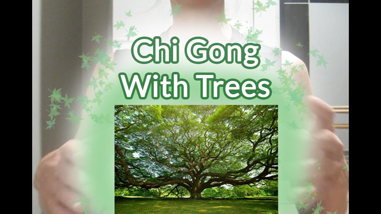 TREE QI GONG - YouTube