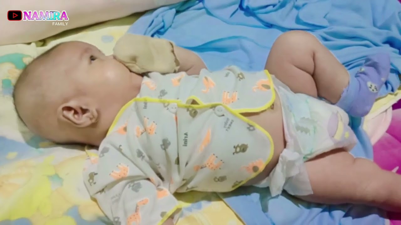 Bayi Gemoy #bayilucu #bayigemes #bayisehat #bayipintar #bayi - YouTube