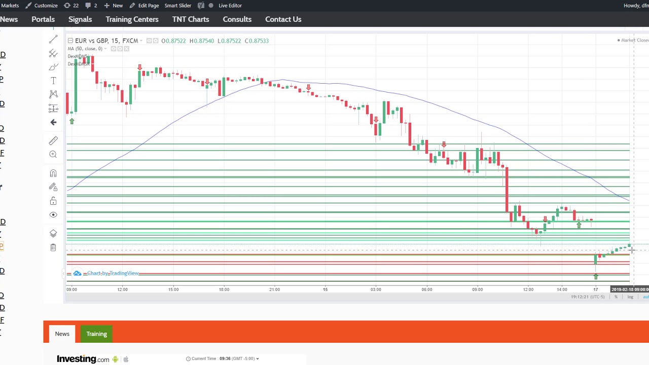 Dex Fx Markets Tnt Strategy 2-17-19 trading forex - YouTube