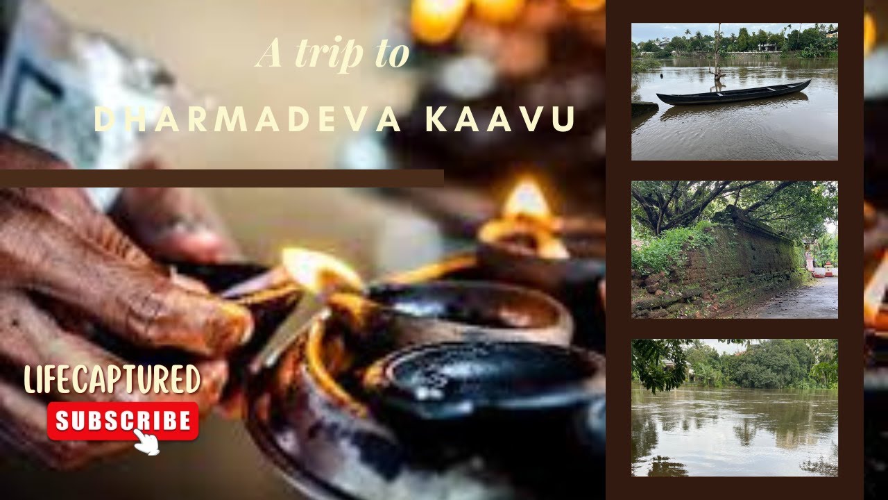 A Trip to Aluva Dharmadeva Kaavu 🛕🪔🌳🌴 - YouTube