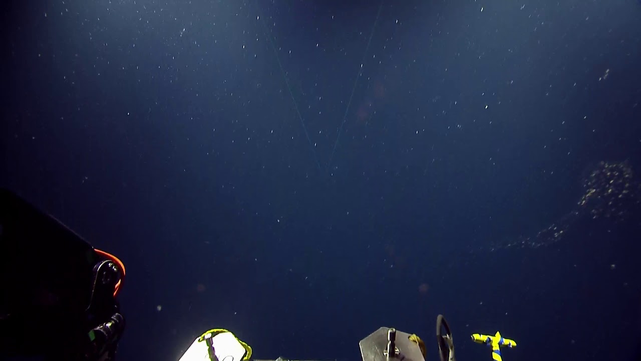 ROV Hercules Dive NA117-H1796-20191017T0614UTC-154 - YouTube