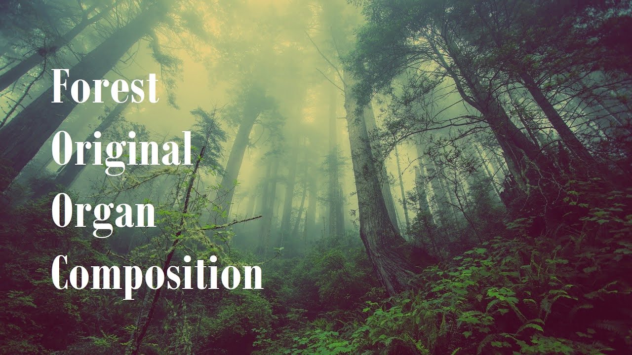 Forest (Original Organ Composition) - YouTube