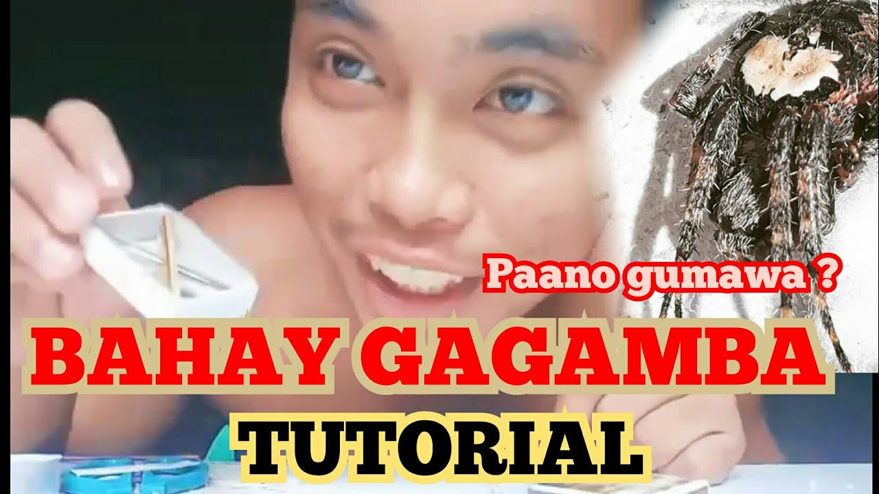 PAANO GUMAWA NG BAHAY NG GAGAMBA ? | TUTORIAL | PSTRNTCSTv | KUYA KiM ...