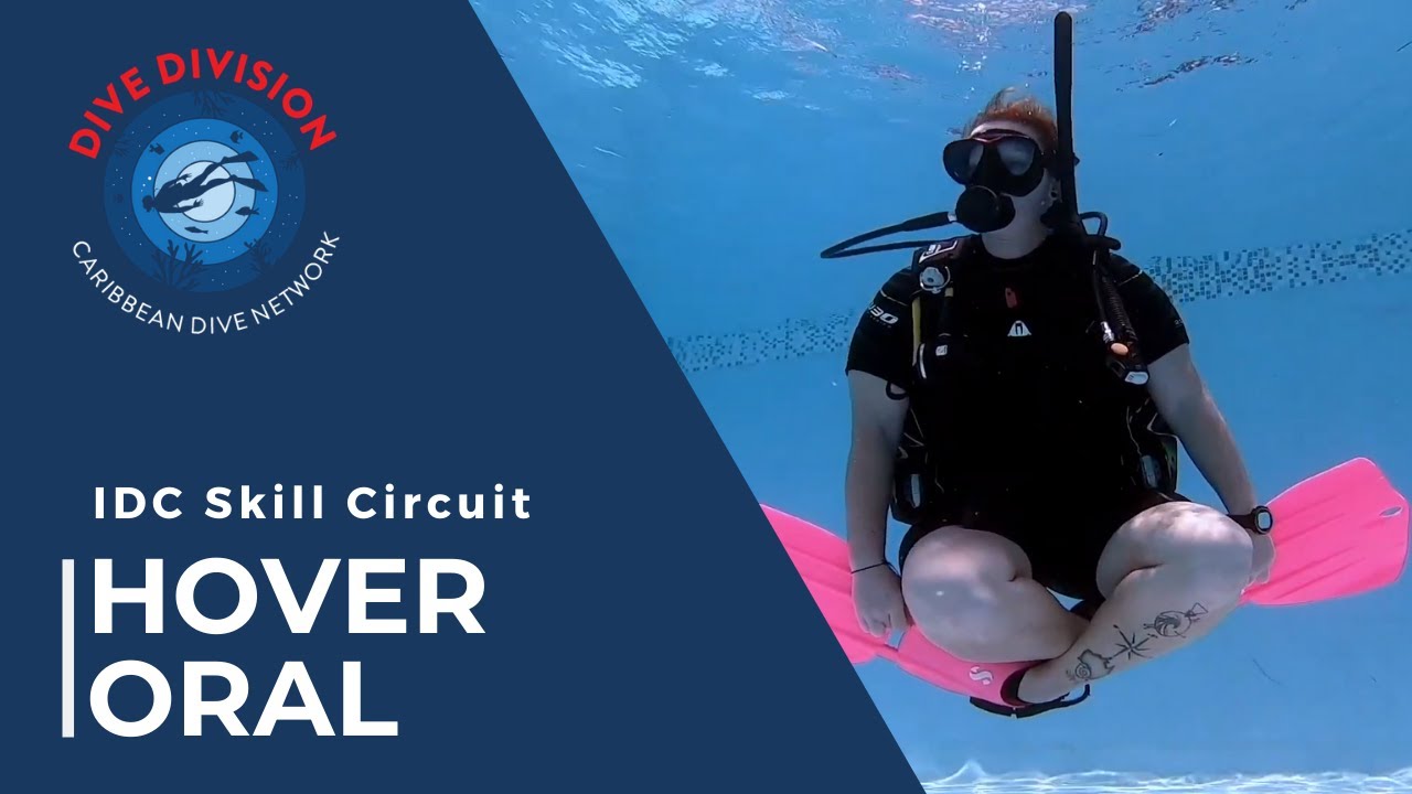 PADI IDC Skill Circuit: Hover Oral (Revised Instructor Development ...