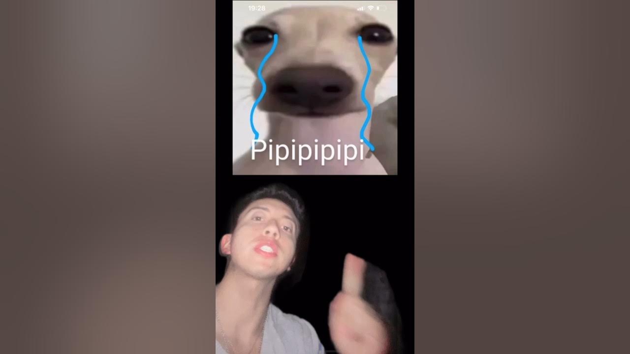 CÓMO SE. CREÓ EL MEME “PIPIPIPIPI”?😱🤯#short #sabiasque #curiosidades # ...