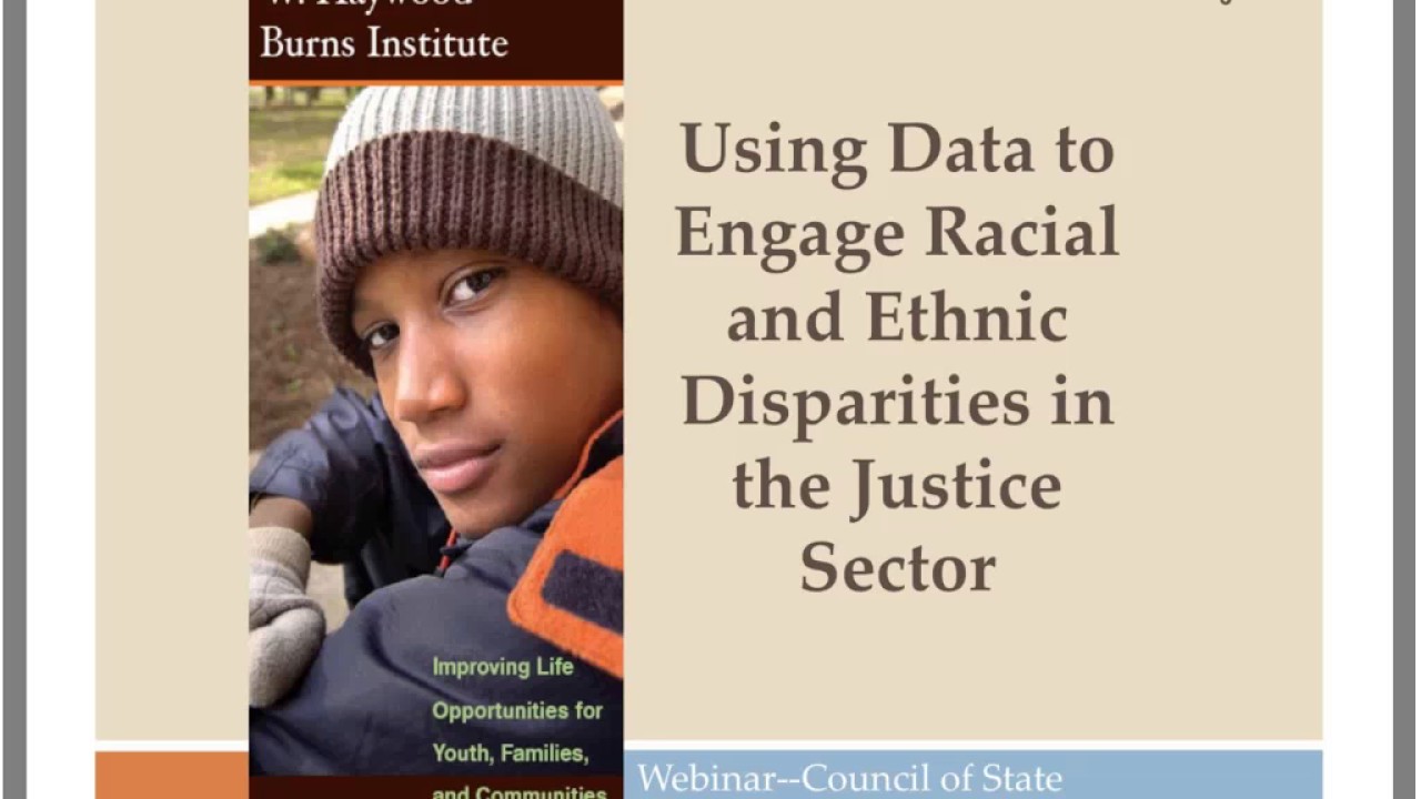 Identifying Racial and Ethnic Disparities in the Criminal and Juvenile ...