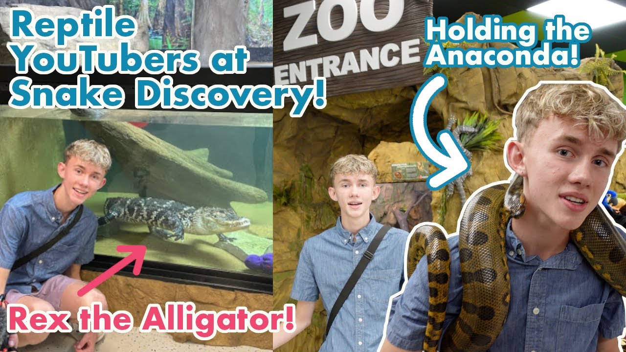 Back at Snake Discovery's Reptile Zoo and Facility! | Part 1: Enclosure ...