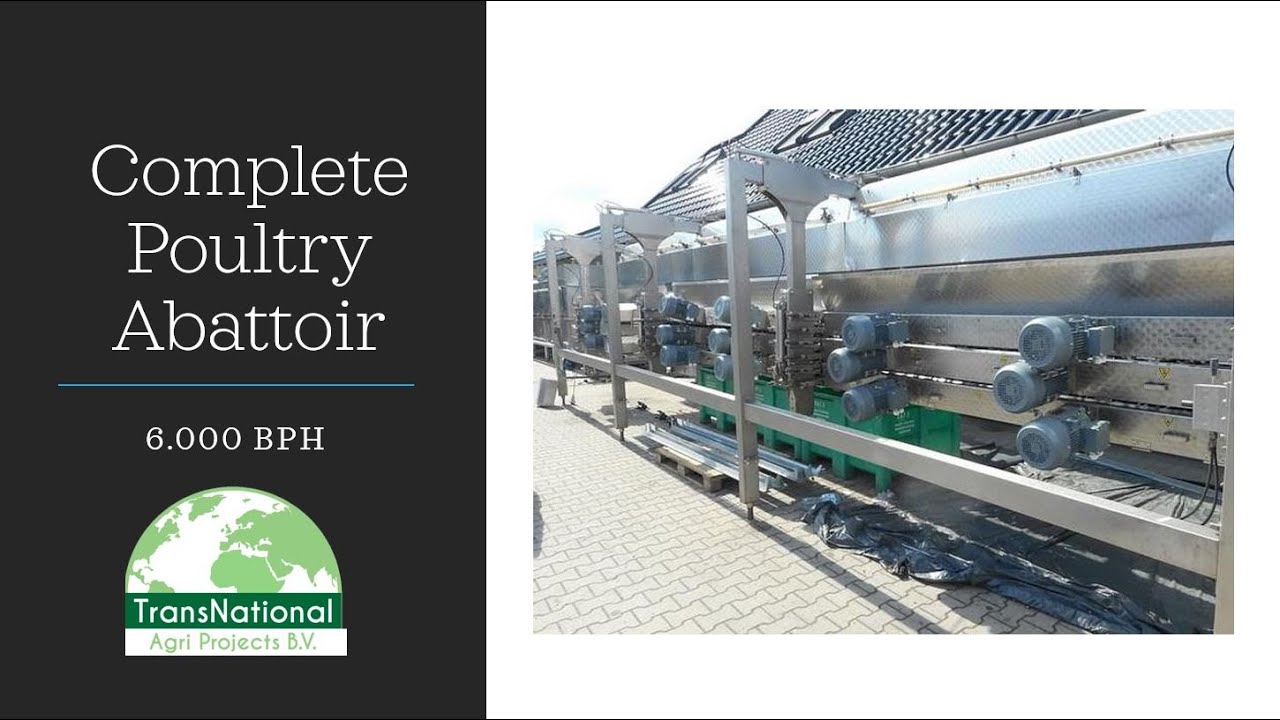 Poultry Abattoir - 6.000 Bph - YouTube