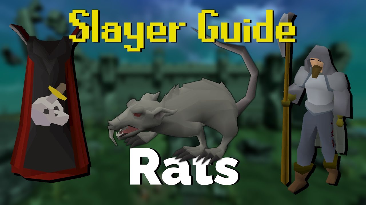 Rat Slayer Quick Guide OSRS - YouTube