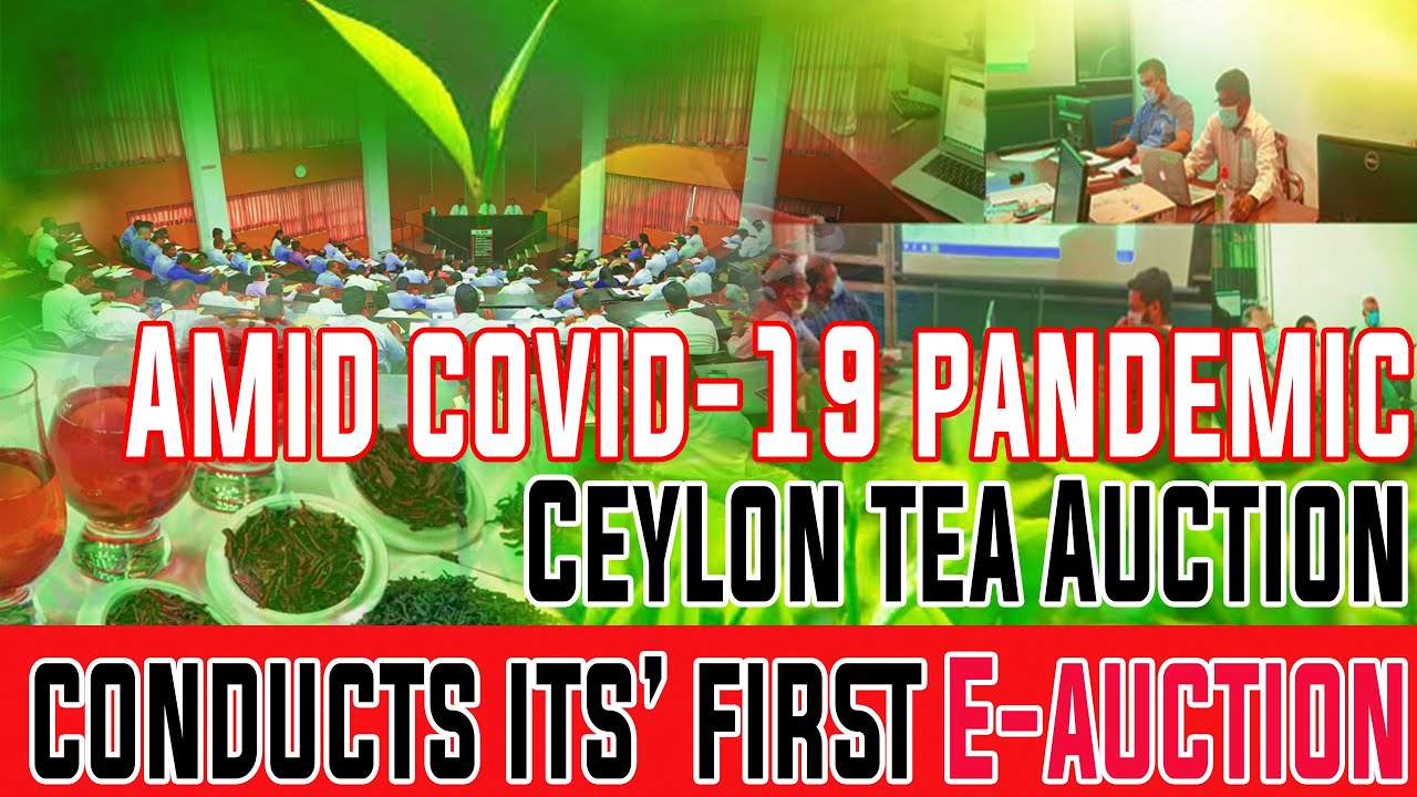 Ceylon Tea conducted First e - auction - World largest Manual Tea ...