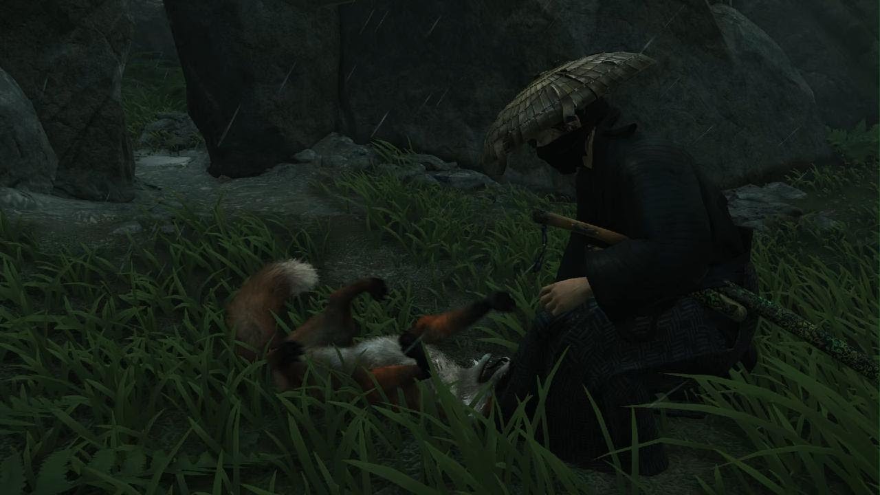 got fox :) - YouTube