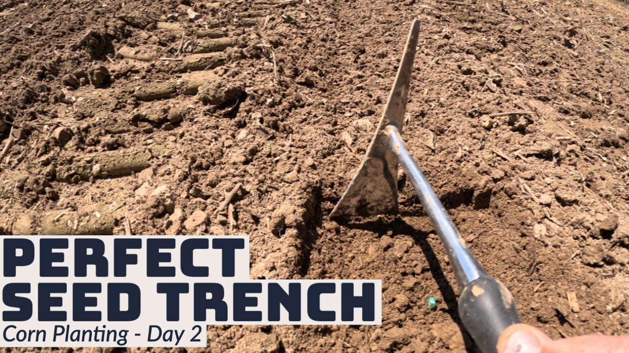 Planting the Perfect Seed Trench - Corn Planting Day 2 - YouTube