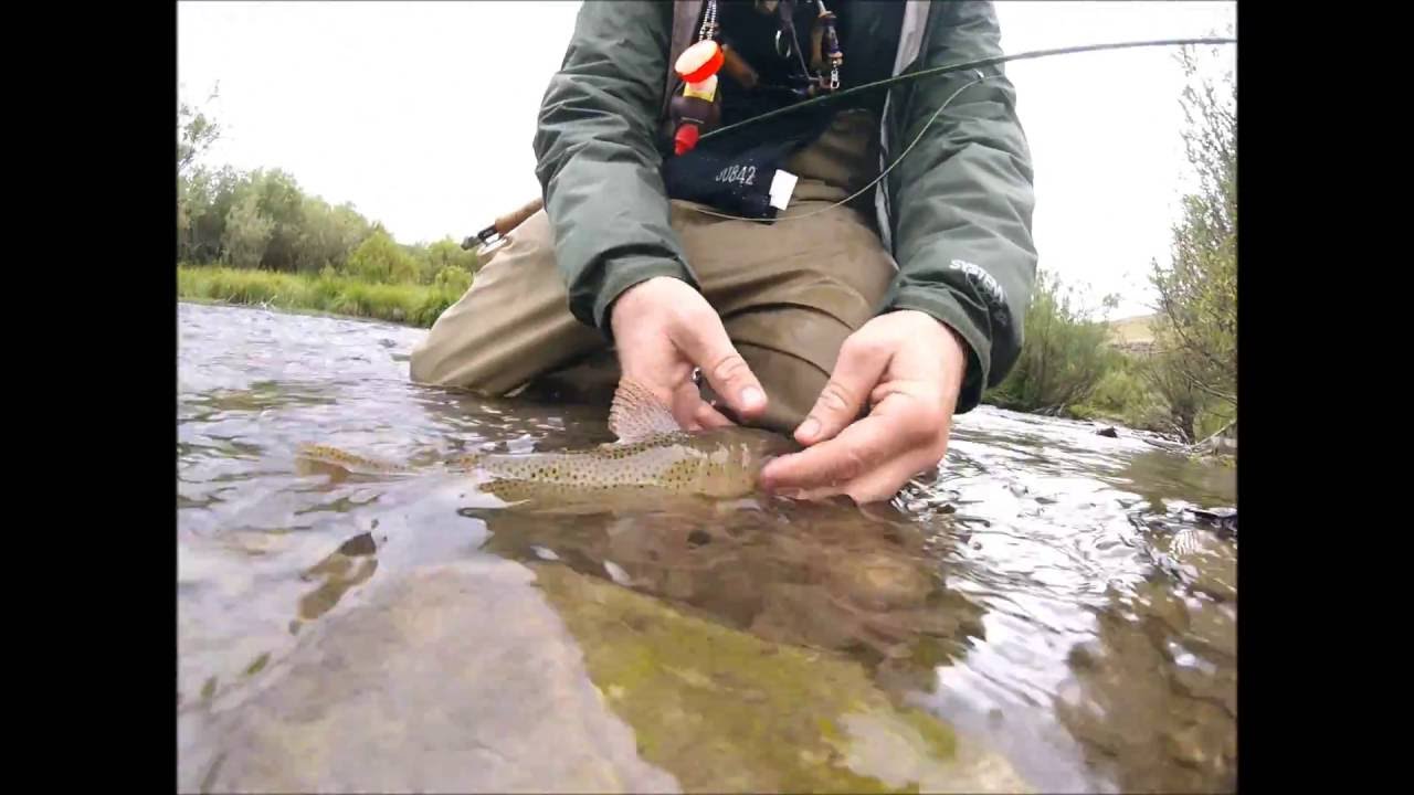 Dan and Kane fishing Aug2016 - YouTube