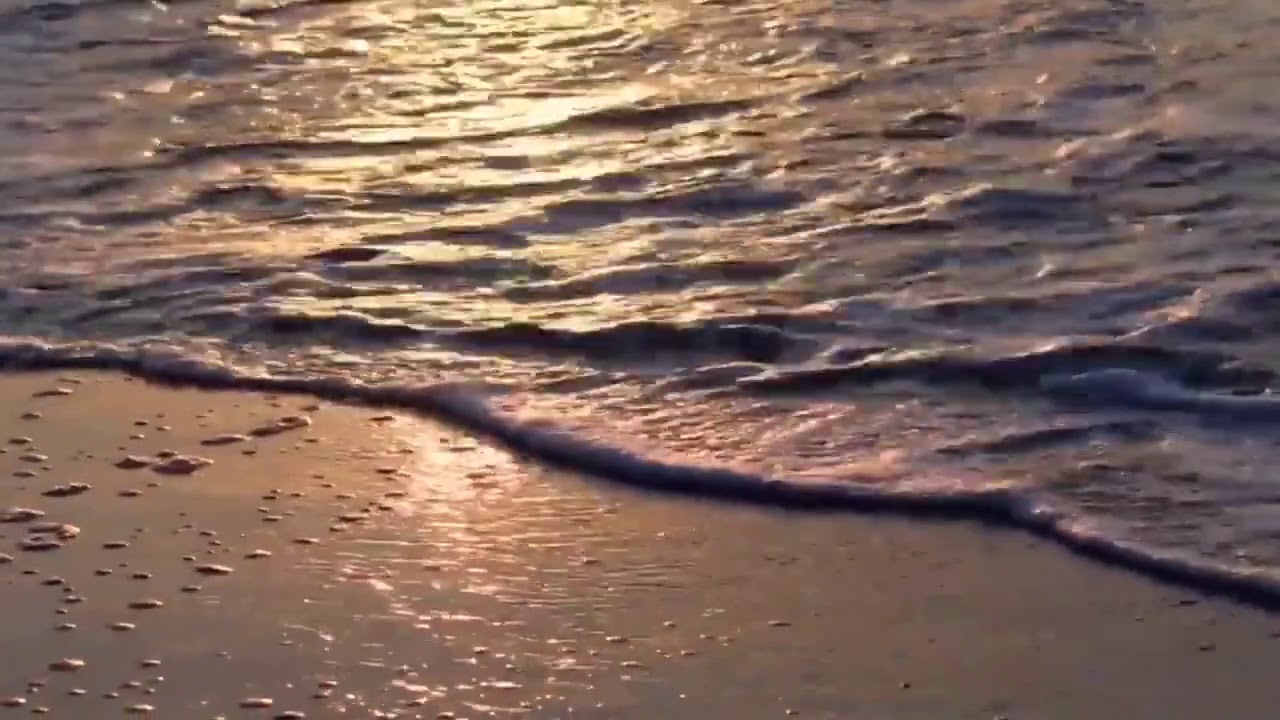 Willow and Casey | Rise of the Shiftlings Teaser Trailer #3 - YouTube