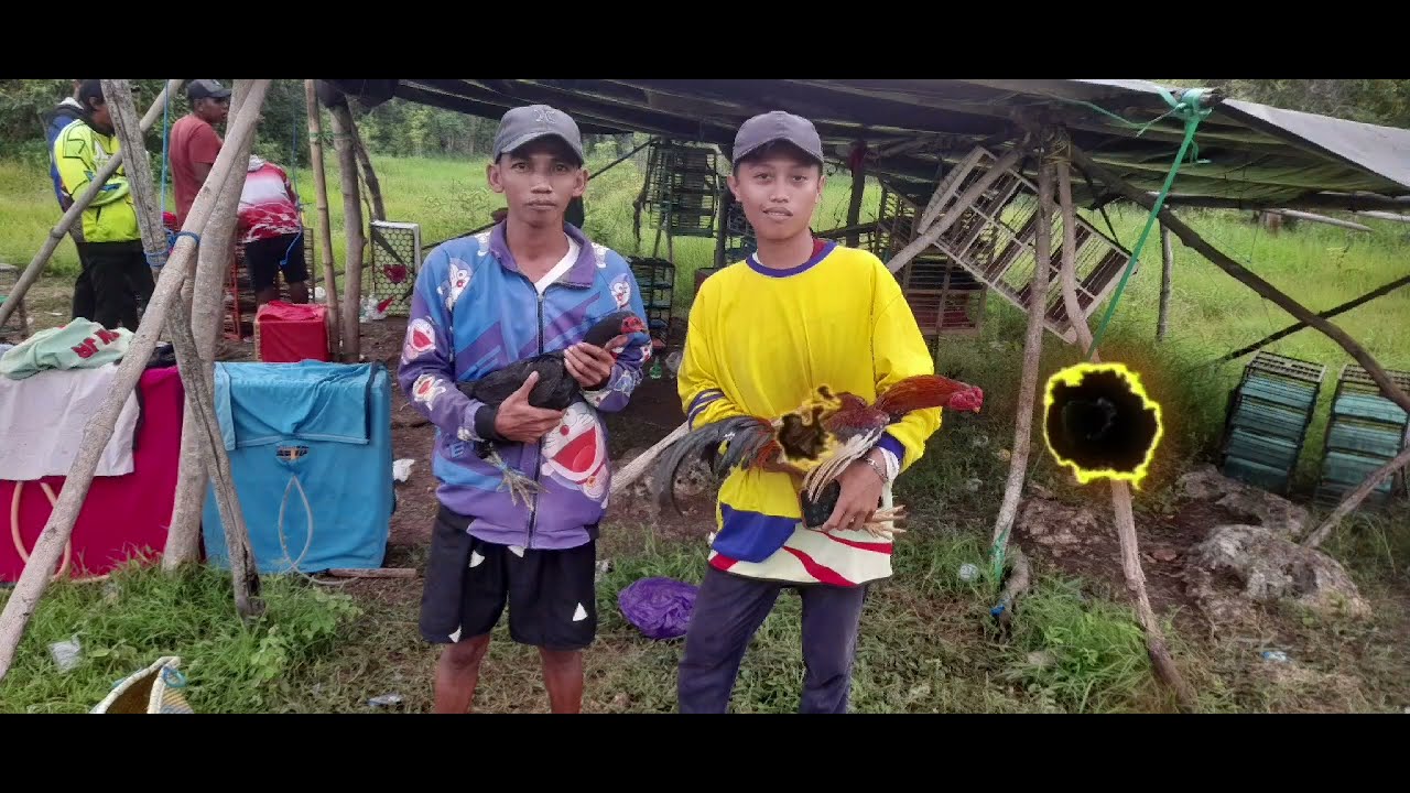 2 Februari 2025 lapangngan longlong - YouTube