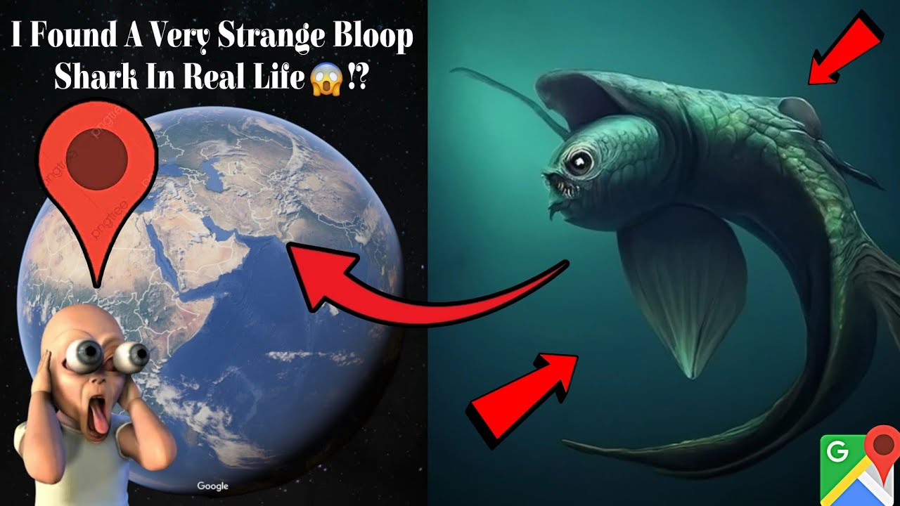 🤯😰I Found A Very Strange Bloop Shark In Google Earth!? #viral # ...