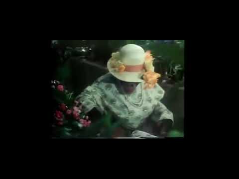 PG Tips Chimps Advert - Flower Show - 1977 - YouTube