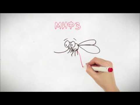 profilaktika dlya detei HD