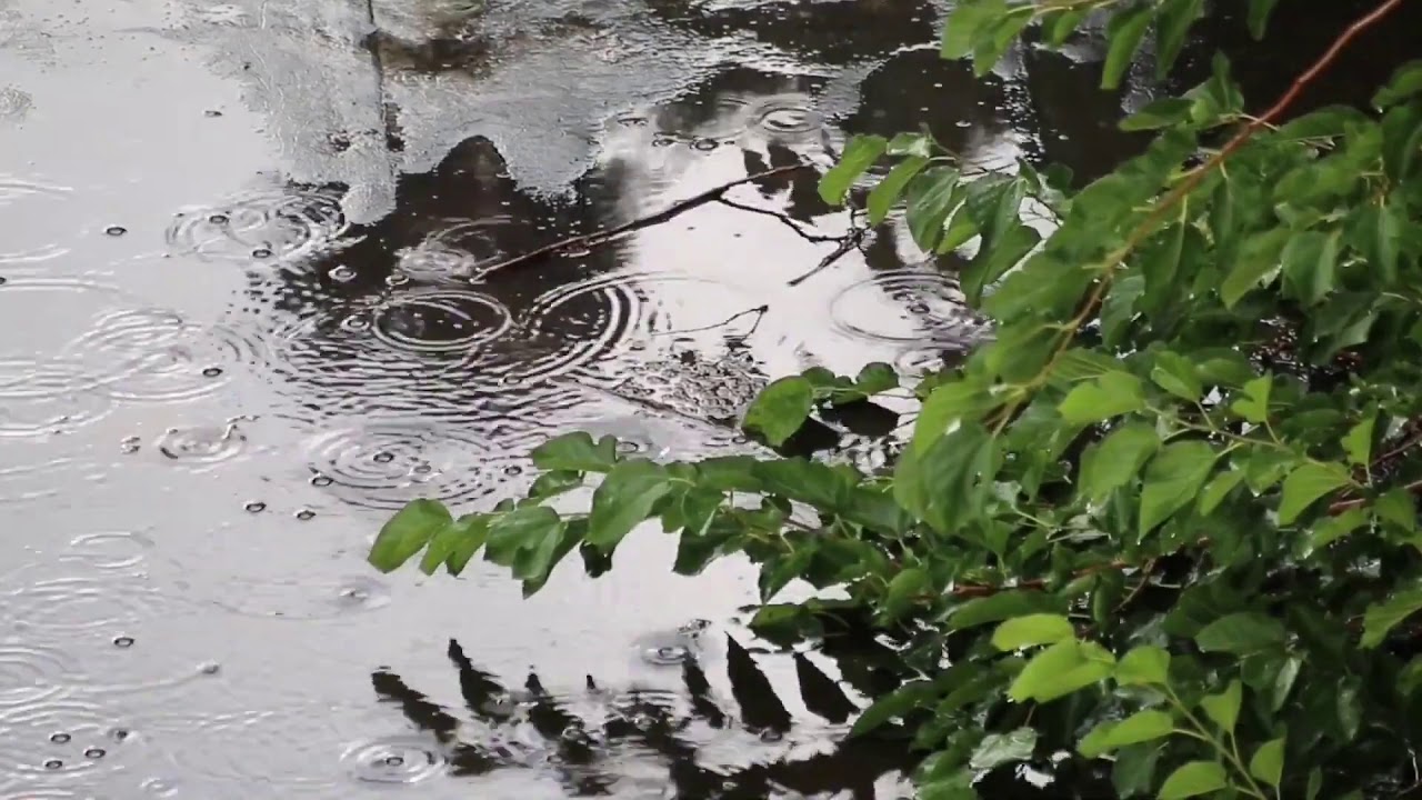 Rain Sounds for Sleep & Relaxation | Rain Ambience | HD Nature Video ...