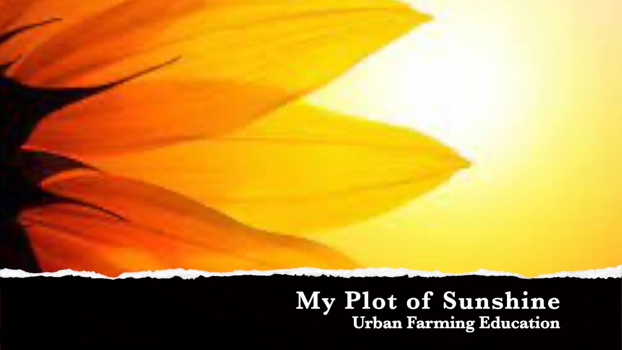My Plot of Sunshine - Professional Development Program for Teachers ...