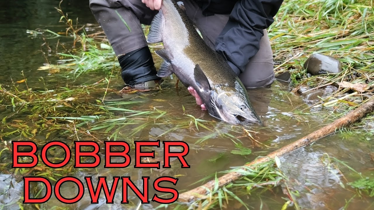 Bobber Fishing for Coho, ONLY found KINGS | Raft Fishing| - YouTube