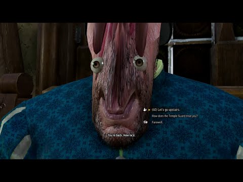 The Witcher 3 - Free cam mod breaks everything