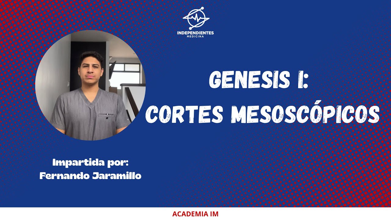 GÉNESIS I (Cortes mesoscópicos embriología práctica) // FERNANDO ...