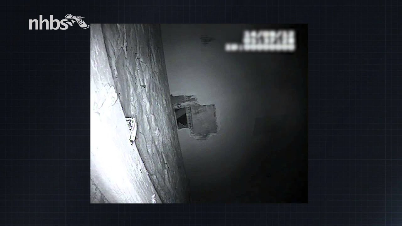 Monitoring a bat roost with the Sony CCTV night vision camera - YouTube