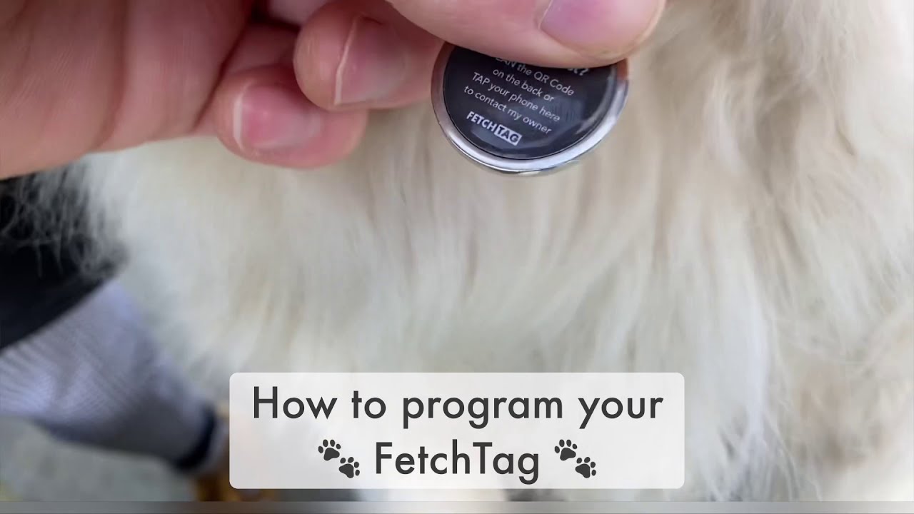 How to program your FetchTag 🐾 - YouTube