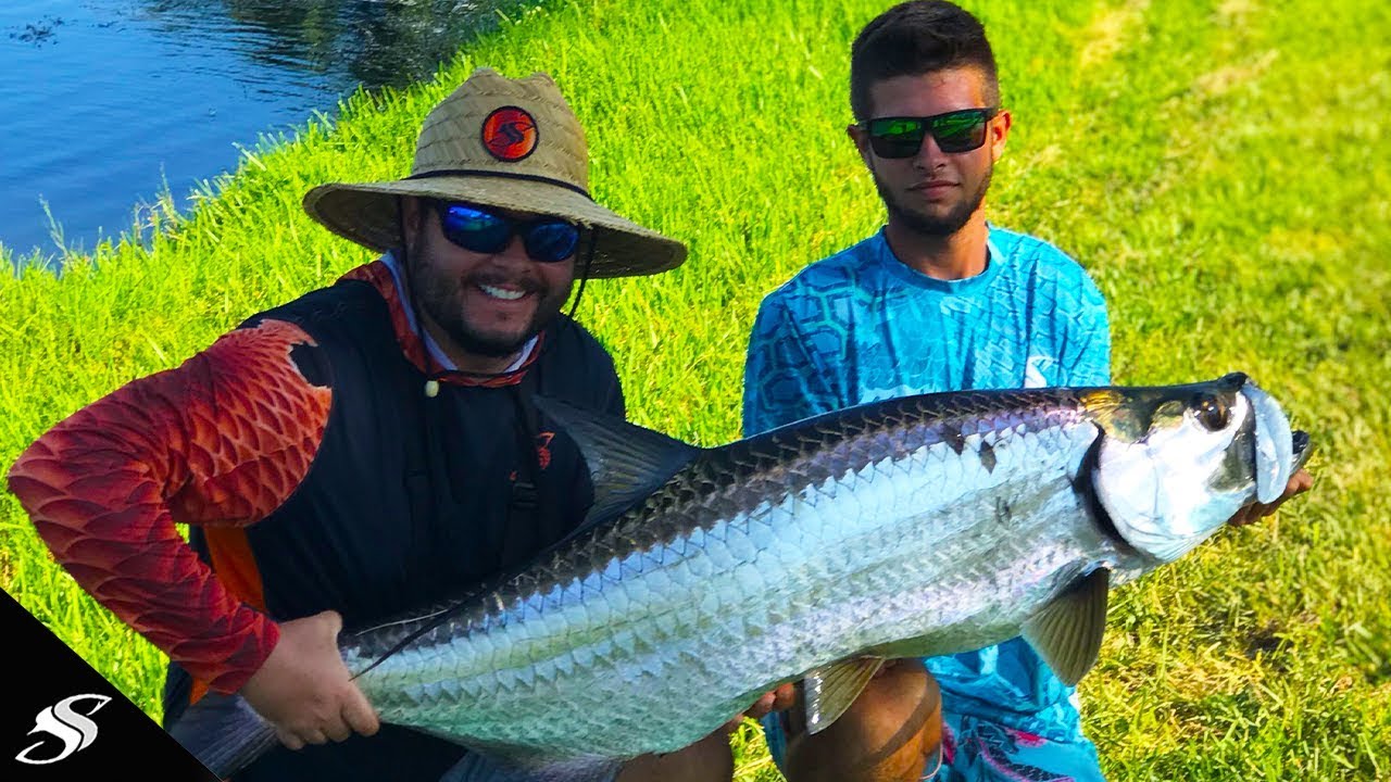 Live Mullet For Bait Catches HUGE Fish! - YouTube