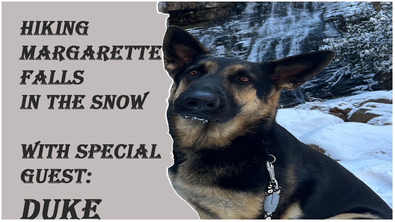 Hiking Margarette Falls Waterfall In The Snow With A Black And Brown ...