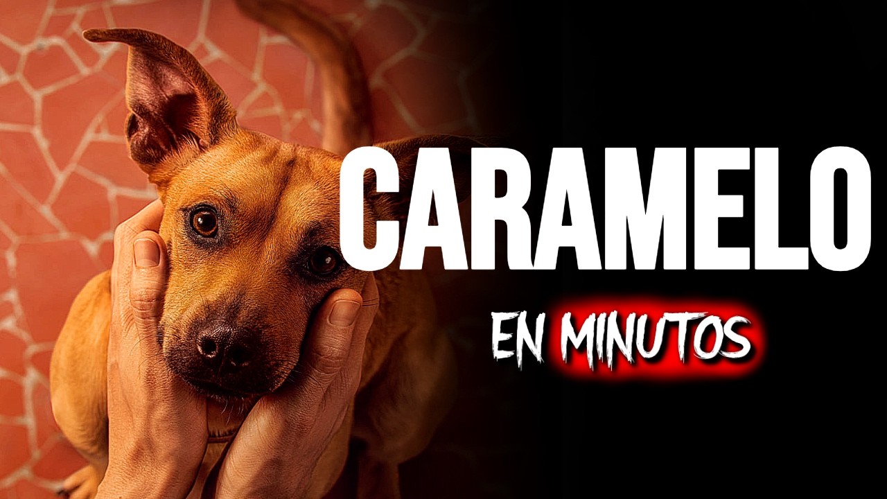 CARAMELO: EL PERRO Más FIEL que HACHIKO (2025) RESUMEN EN MINUTOS - YouTube